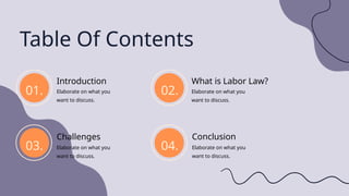 Labor Law Workers' Rights Presentation.pptx