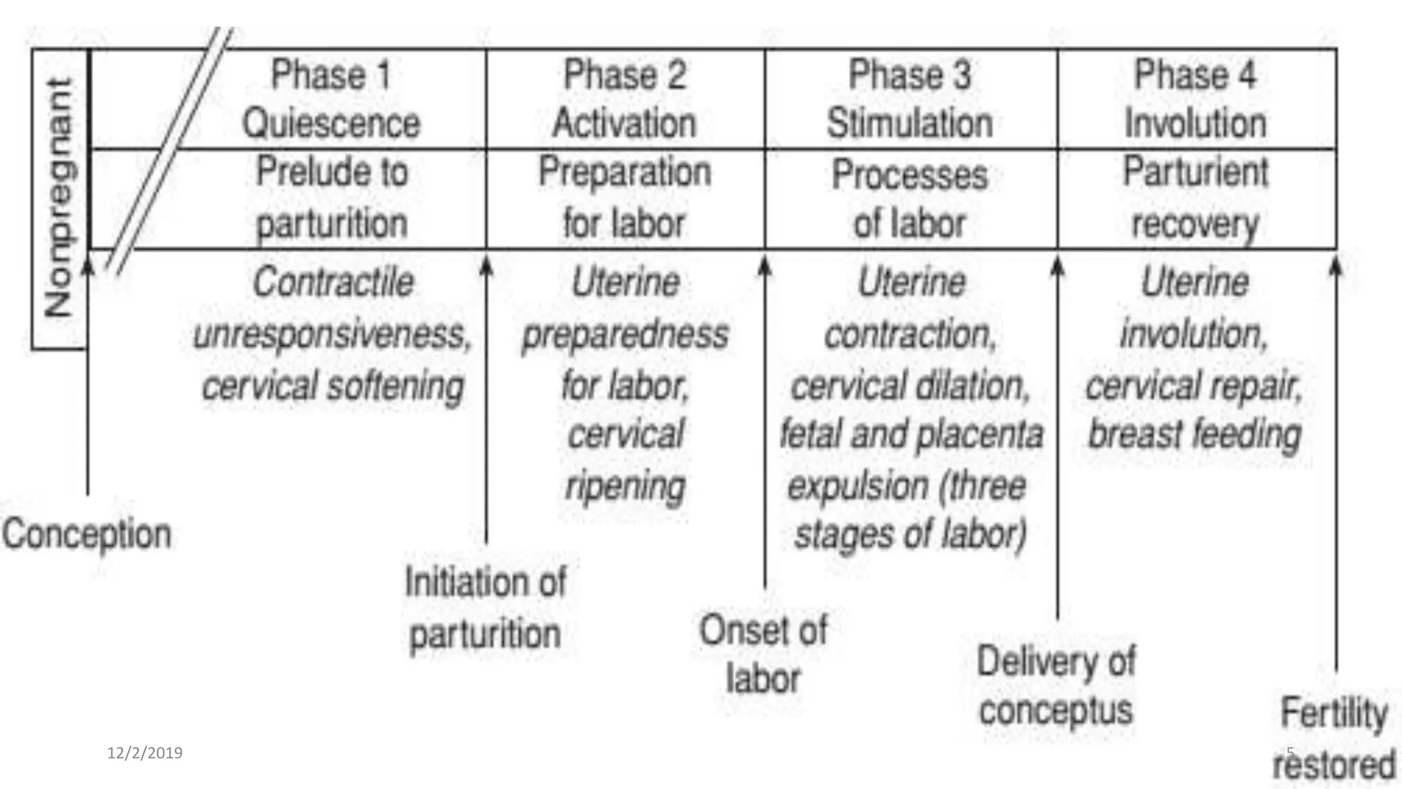 process of Labor management | PPTX