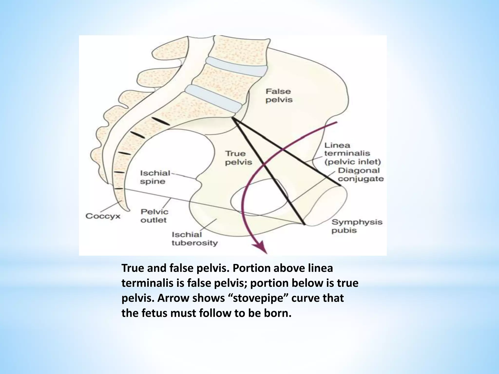 LABOR & ONSET OF LABOR.pptx