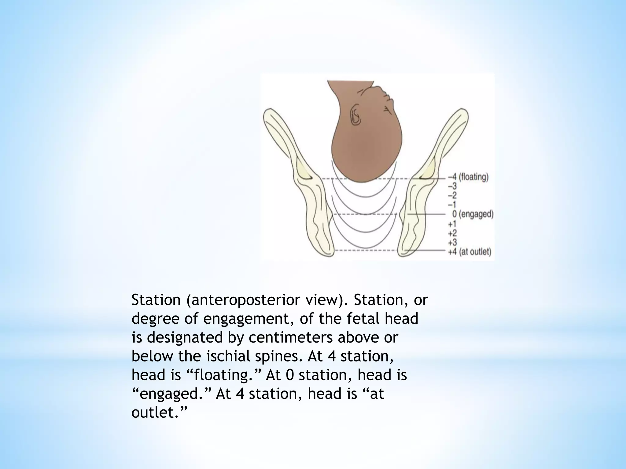 LABOR & ONSET OF LABOR.pptx