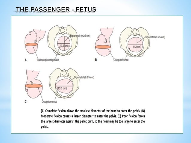 LABOR & ONSET OF LABOR.pptx