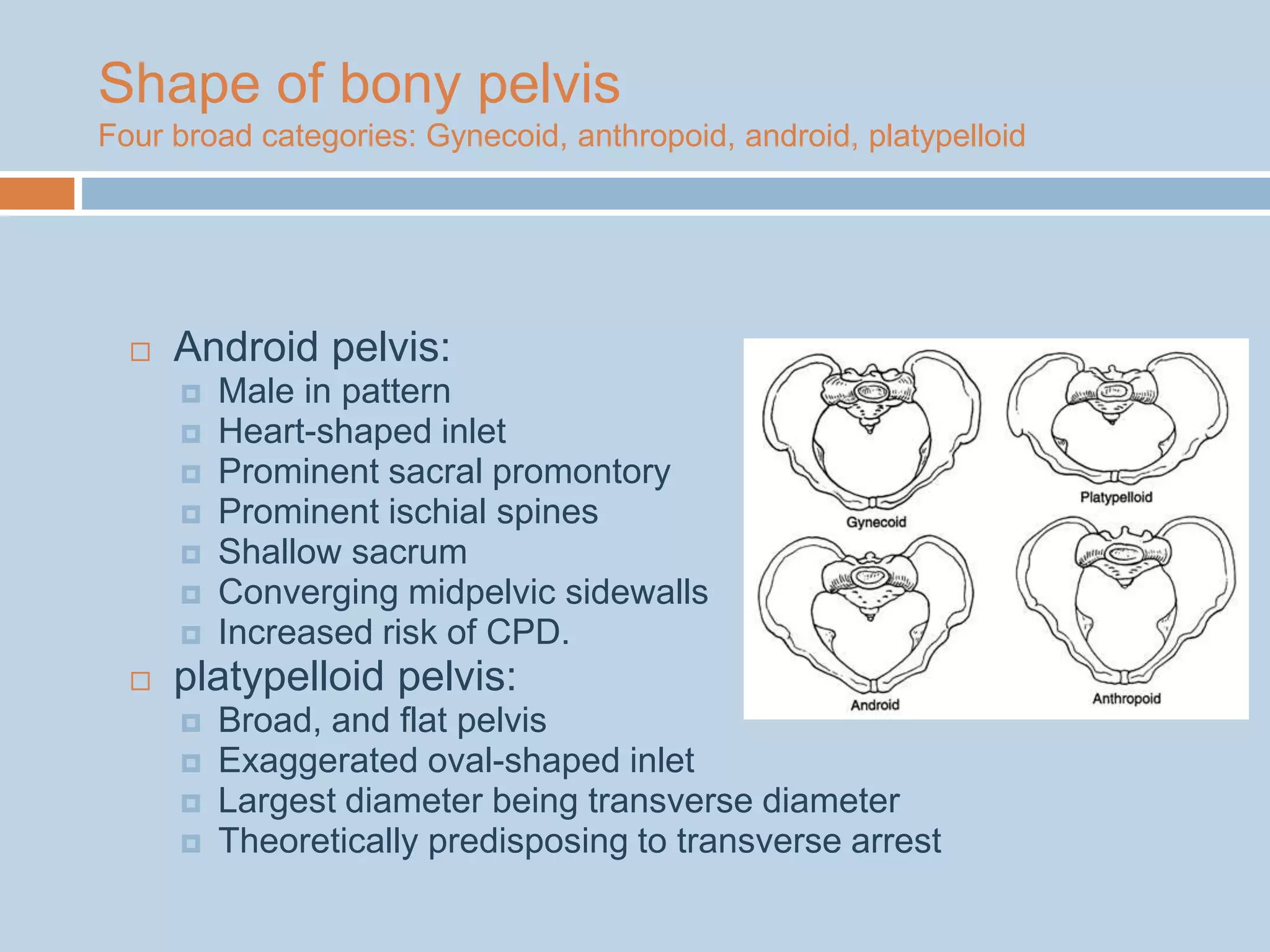Labor Physiology mechanism.pptx