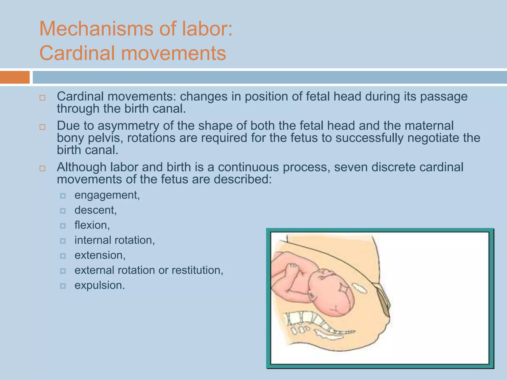 Labor Physiology mechanism.pptx