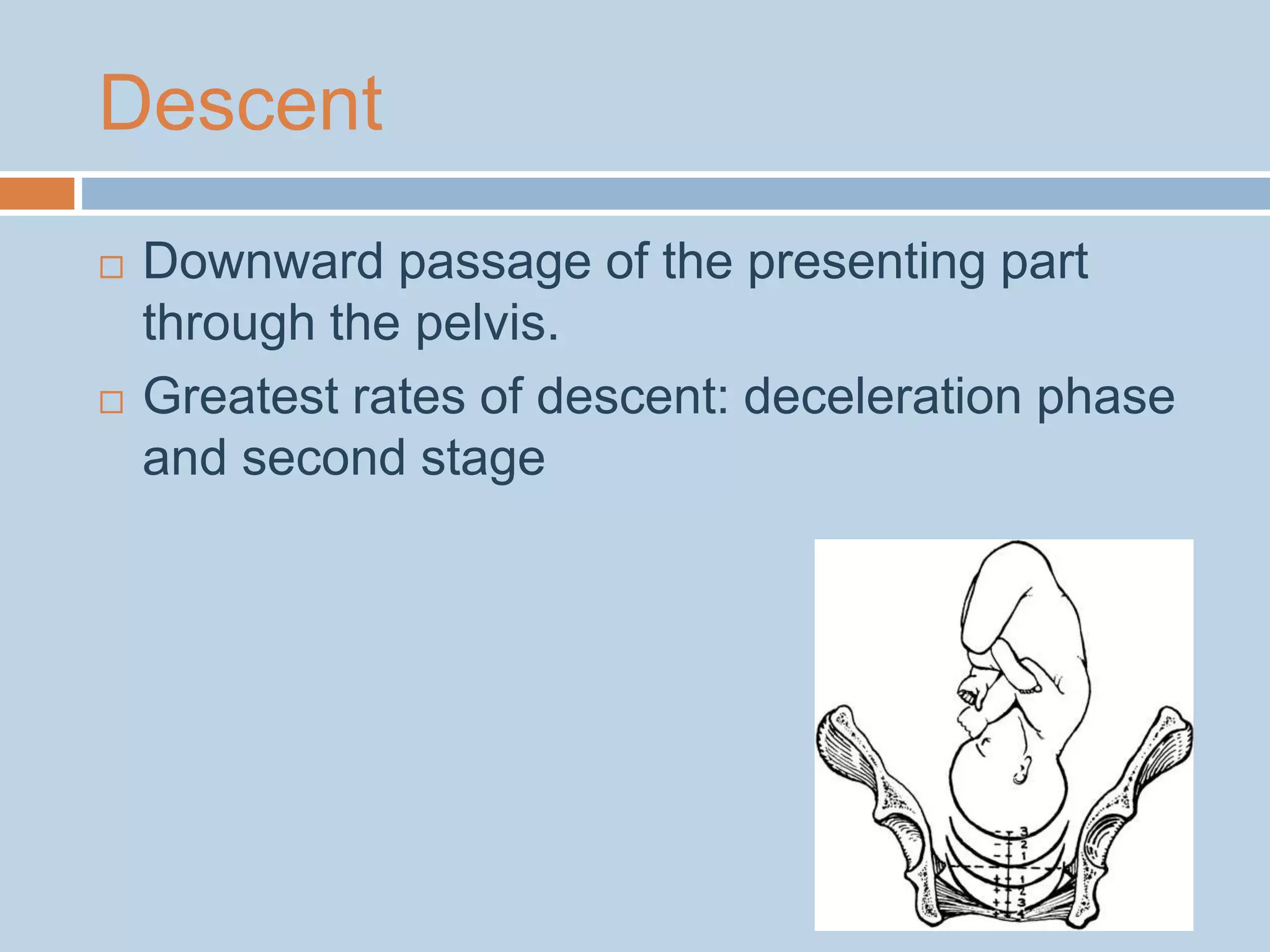 Labor Physiology mechanism.pptx