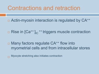 Labor Physiology mechanism.pptx