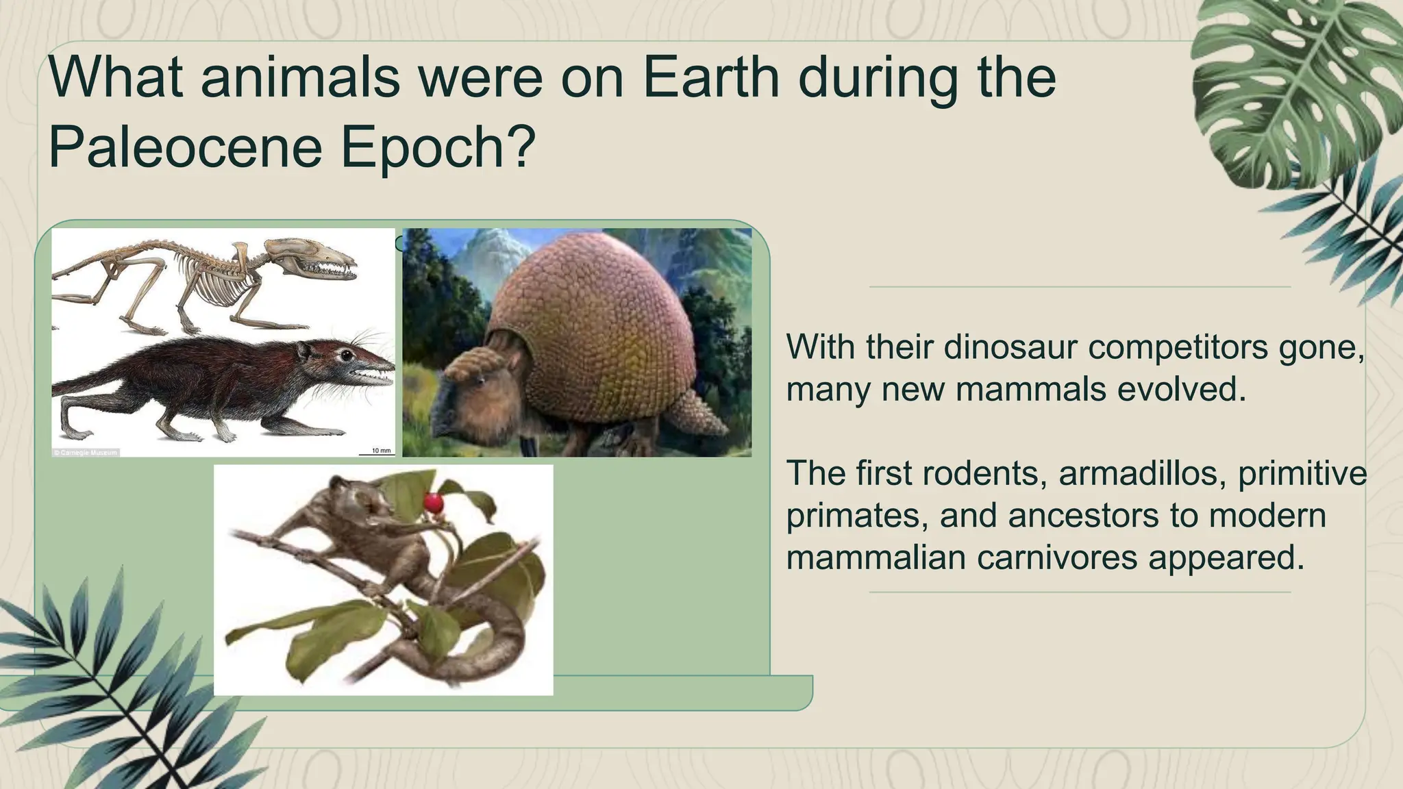 Geologic Time scale - Cenozoic Era..pptx