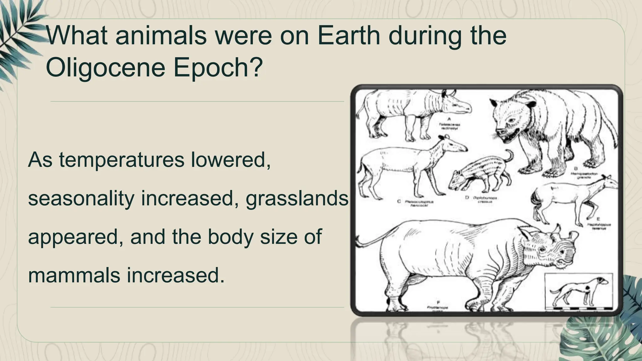 Geologic Time scale - Cenozoic Era..pptx
