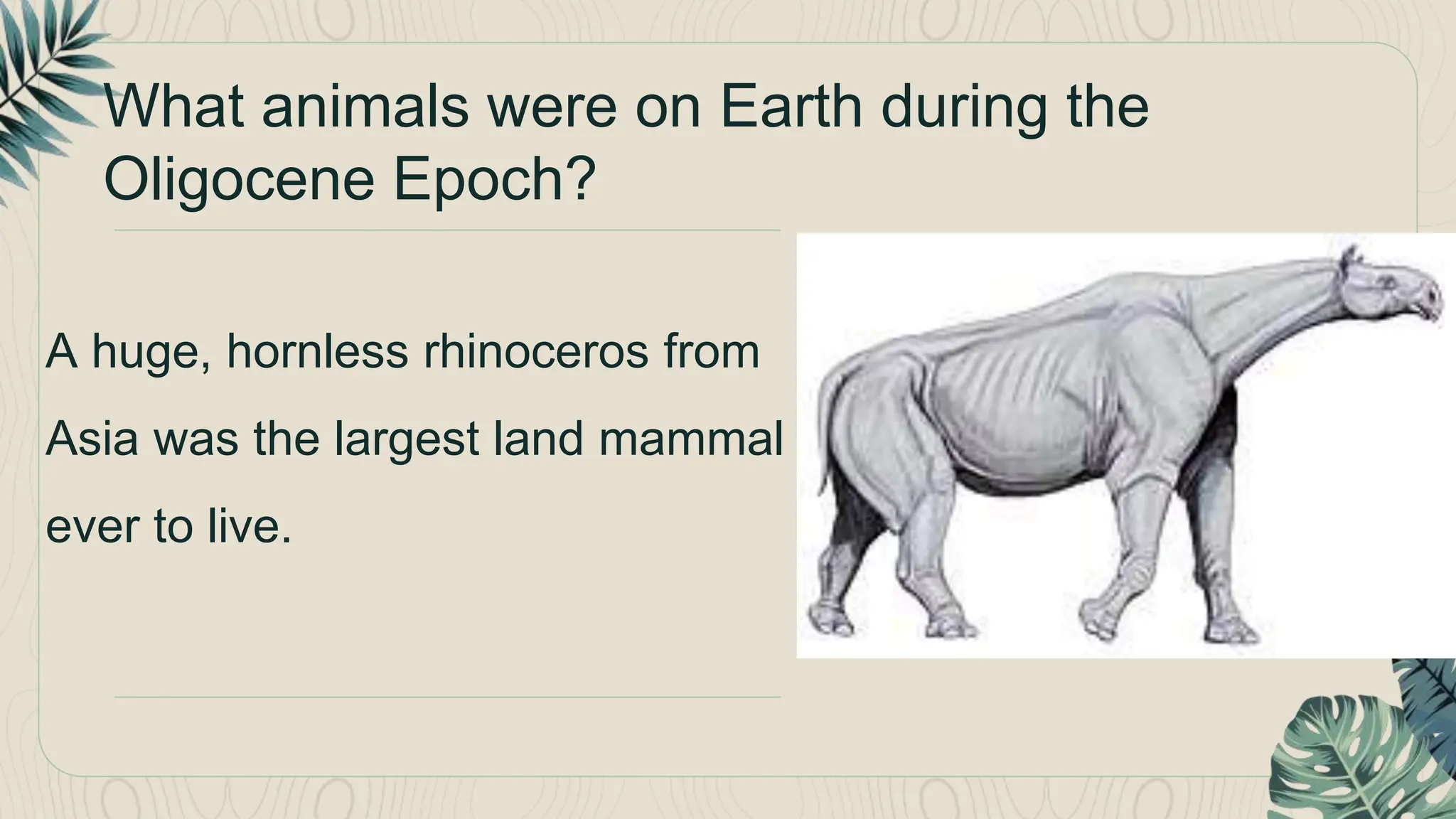 Geologic Time scale - Cenozoic Era..pptx