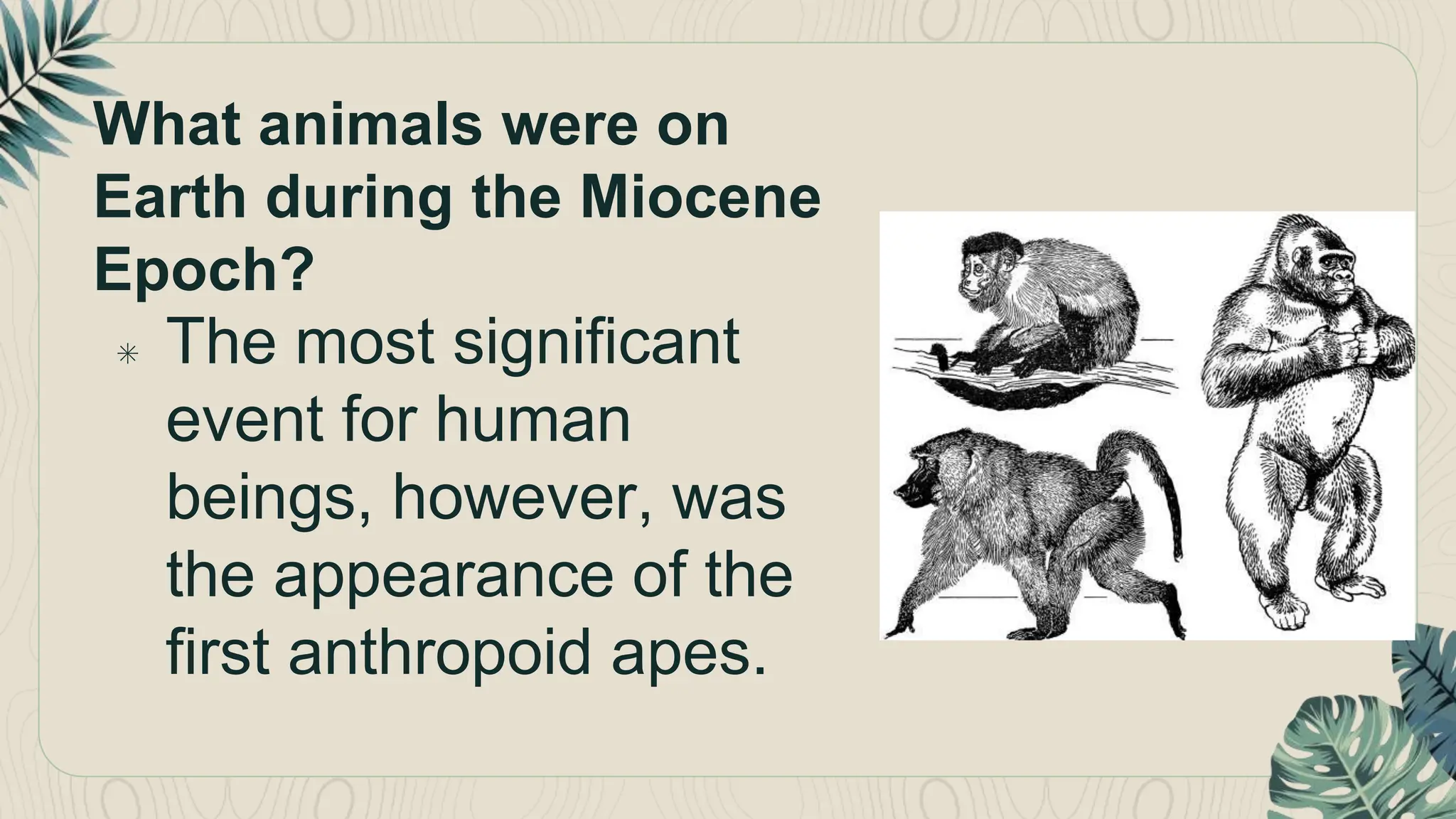 Geologic Time scale - Cenozoic Era..pptx