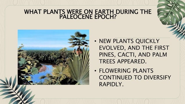 Geologic Time scale - Cenozoic Era..pptx