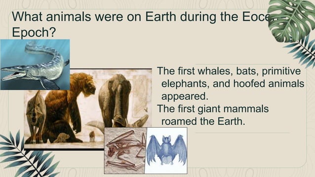 Geologic Time scale - Cenozoic Era..pptx