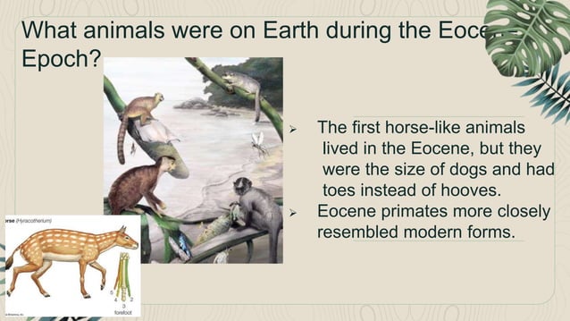 Geologic Time scale - Cenozoic Era..pptx