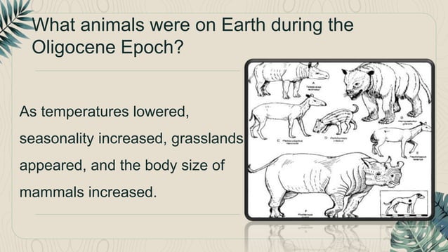 Geologic Time scale - Cenozoic Era..pptx