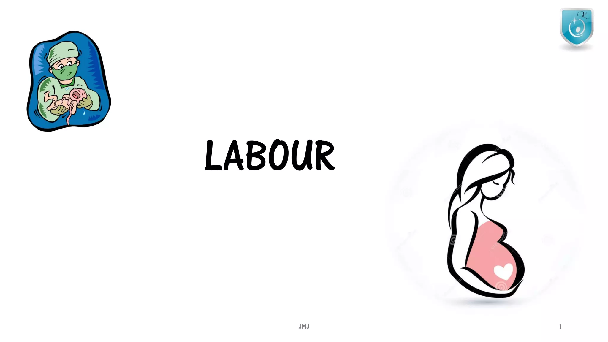 Normal Labour and Abnormal Labour | PDF
