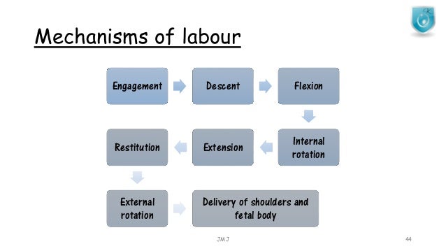 Normal Labour and Abnormal Labour