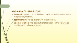 Labour and The Stages of Labour .pptx
