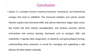 Understanding Labor: A Comprehensive Overview for Nursing Students | PPTX