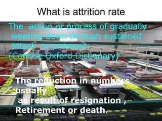 labour turnover Part I | PPT