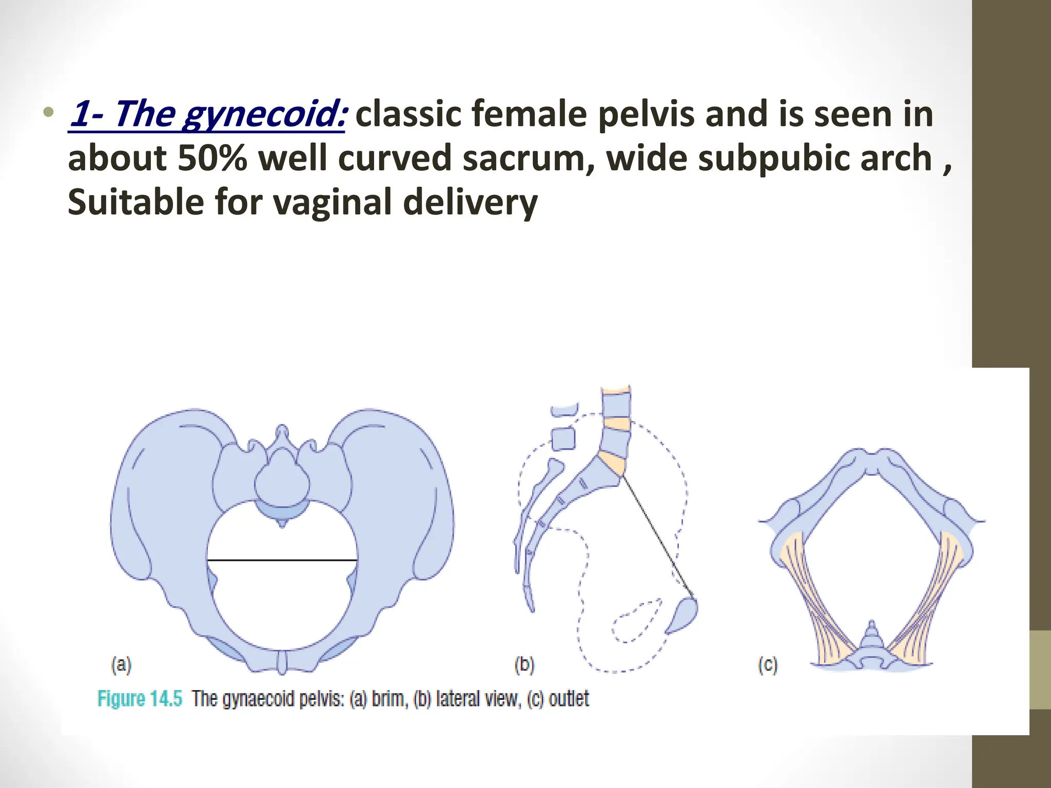 labour ,maternal boney pelvis and fetal head | PPT