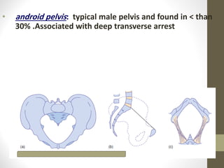 labour ,maternal boney pelvis and fetal head | PPT