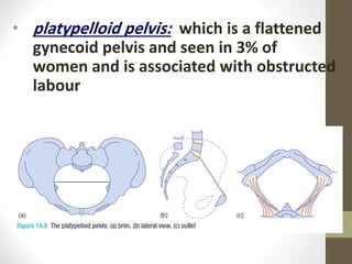 labour ,maternal boney pelvis and fetal head | PPT