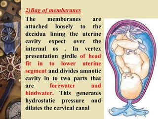 Labour 1st stage | PPT
