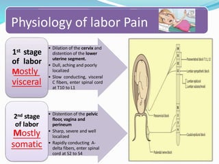 Labour analgesia | PPTX
