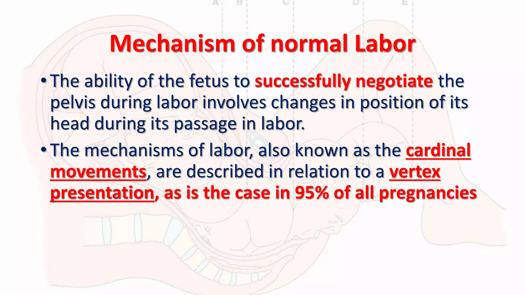 Labour and delivery | PPTX