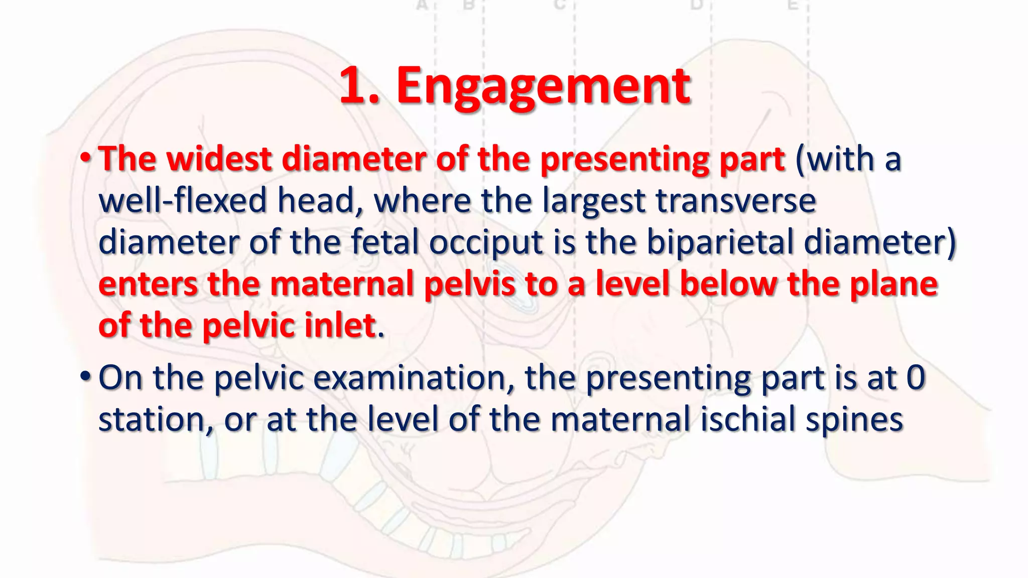 Labour and delivery | PPTX