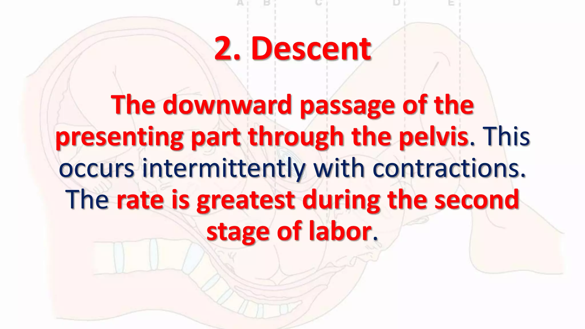 Labour and delivery | PPTX