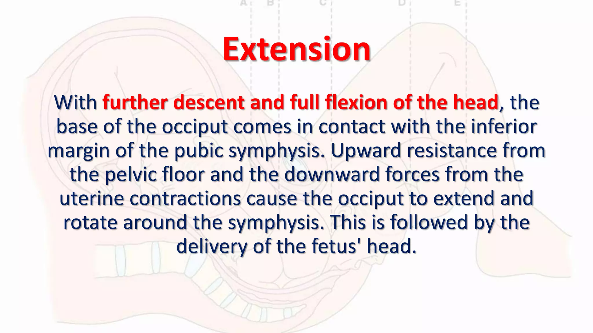 Labour and delivery | PPTX
