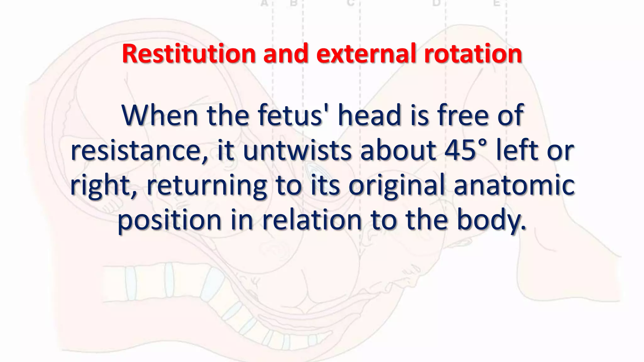 Labour and delivery | PPTX