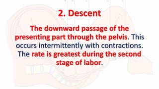 Labour and delivery | PPTX