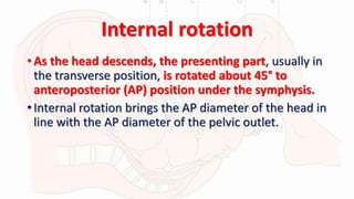 Labour and delivery | PPTX