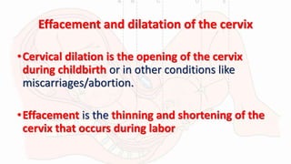 Labour and delivery | PPTX