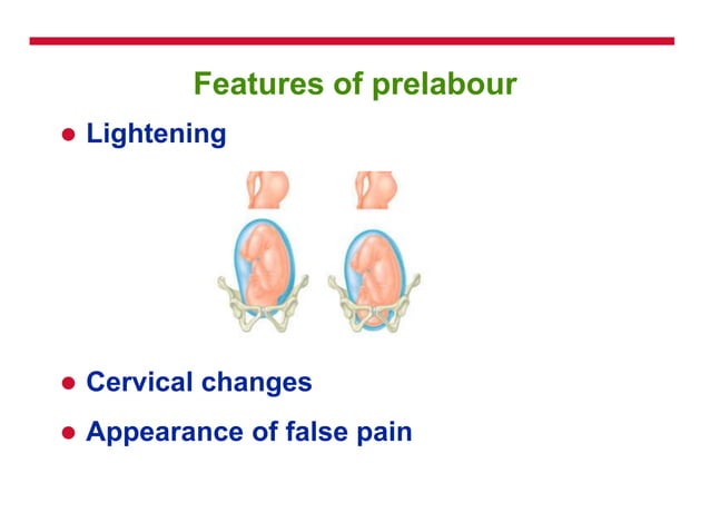 Labour and its stages | PPTX | Pregnancy | Reproductive Health