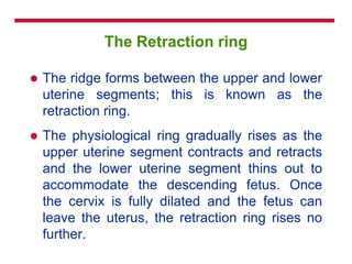 Labour and its stages | PPTX