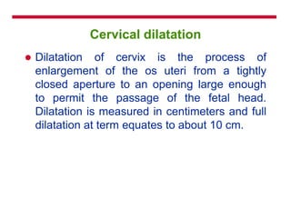 Labour and its stages | PPTX