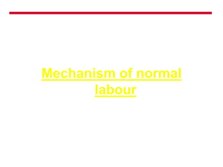 Labour and its stages | PPTX