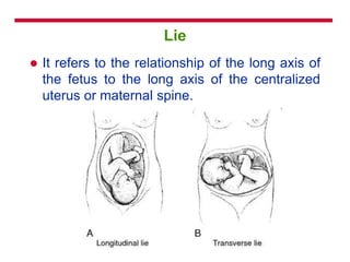 Labour and its stages | PPTX