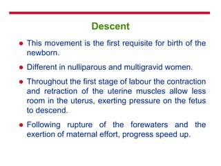 Labour and its stages | PPTX