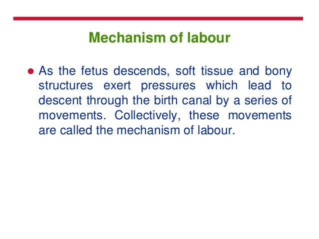 Labour and its stages