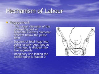 Labour and partogram.ppt