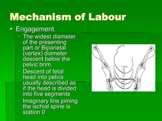 Labour and Partograph.pptx