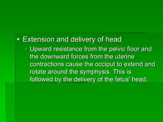 Labour and Partograph.pptx