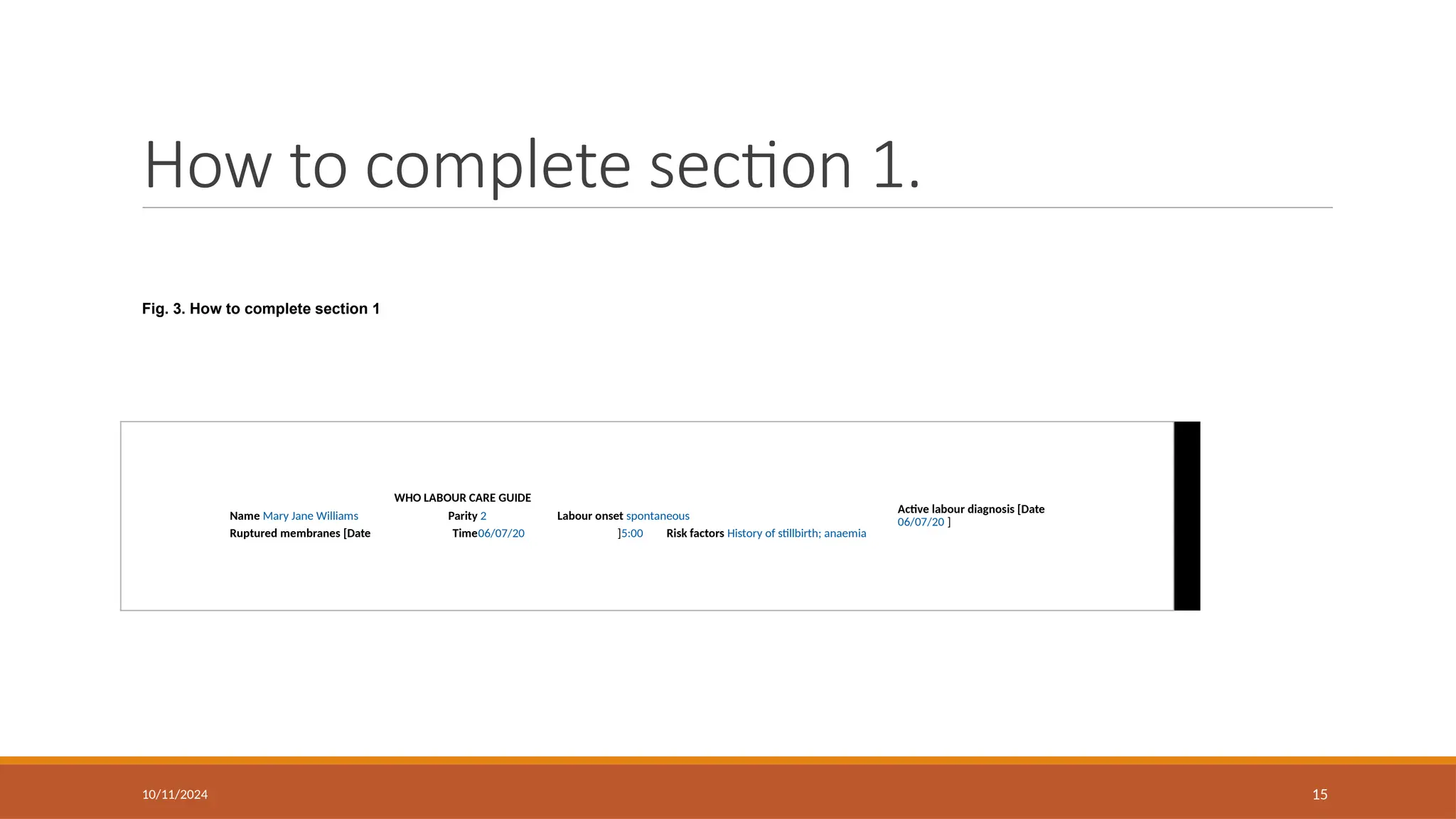 labour care guide ppt .pptx labour care guide ppt .pptx
