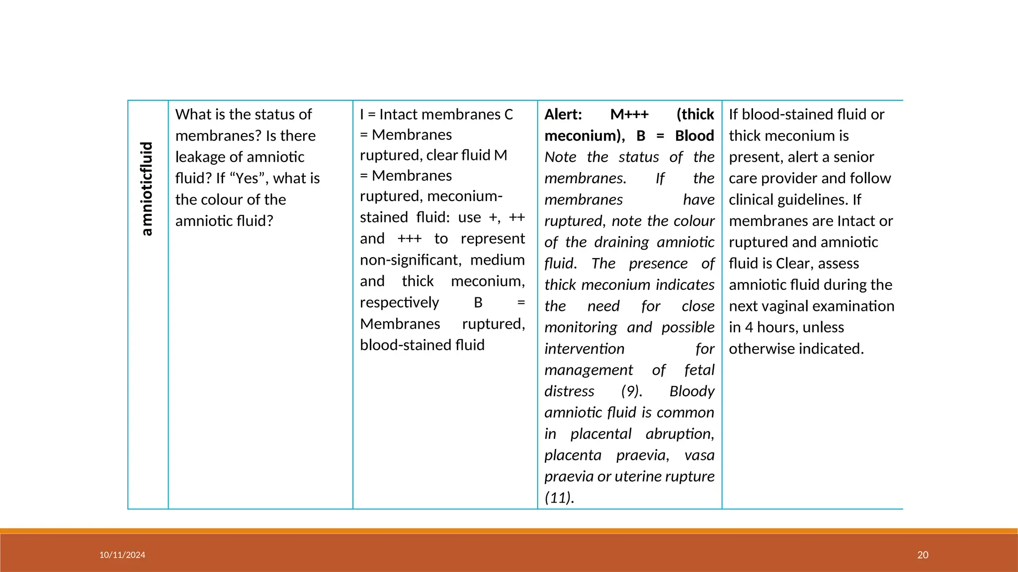 labour care guide ppt .pptx labour care guide ppt .pptx