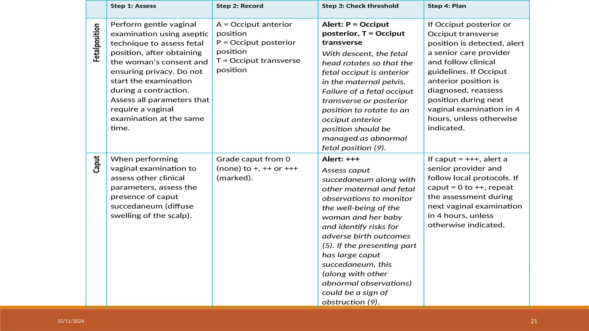 labour care guide ppt .pptx labour care guide ppt .pptx