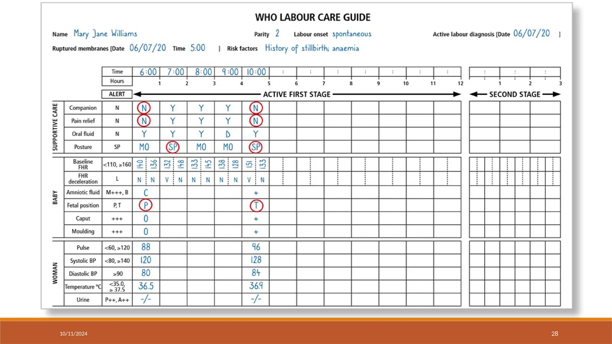 labour care guide ppt .pptx labour care guide ppt .pptx