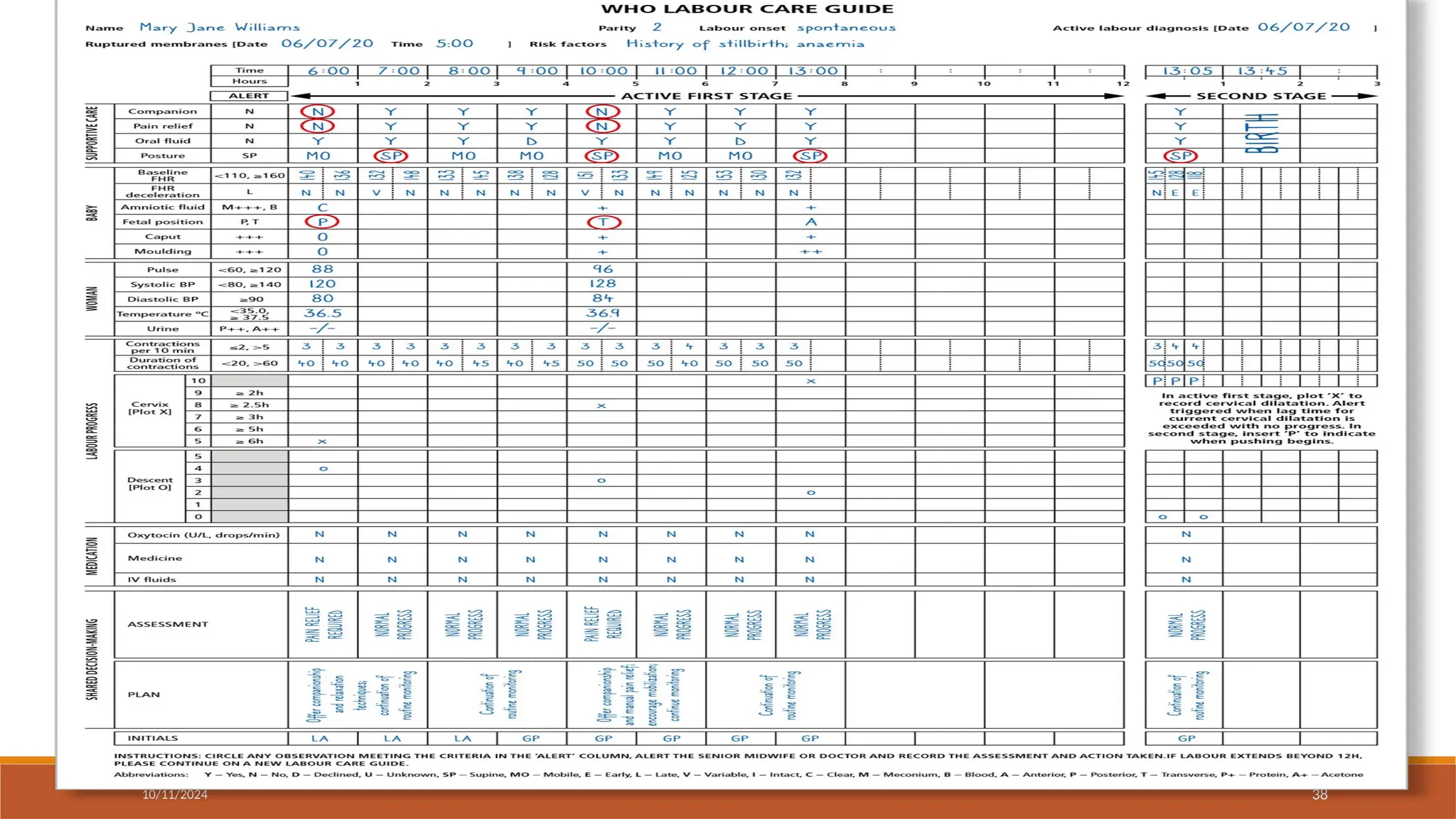 labour care guide ppt .pptx labour care guide ppt .pptx